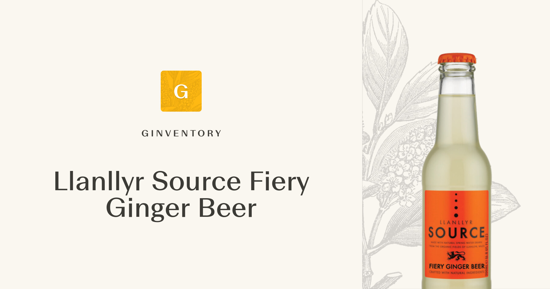 Llanllyr Source Fiery Ginger Beer — Tonics | Ginventory