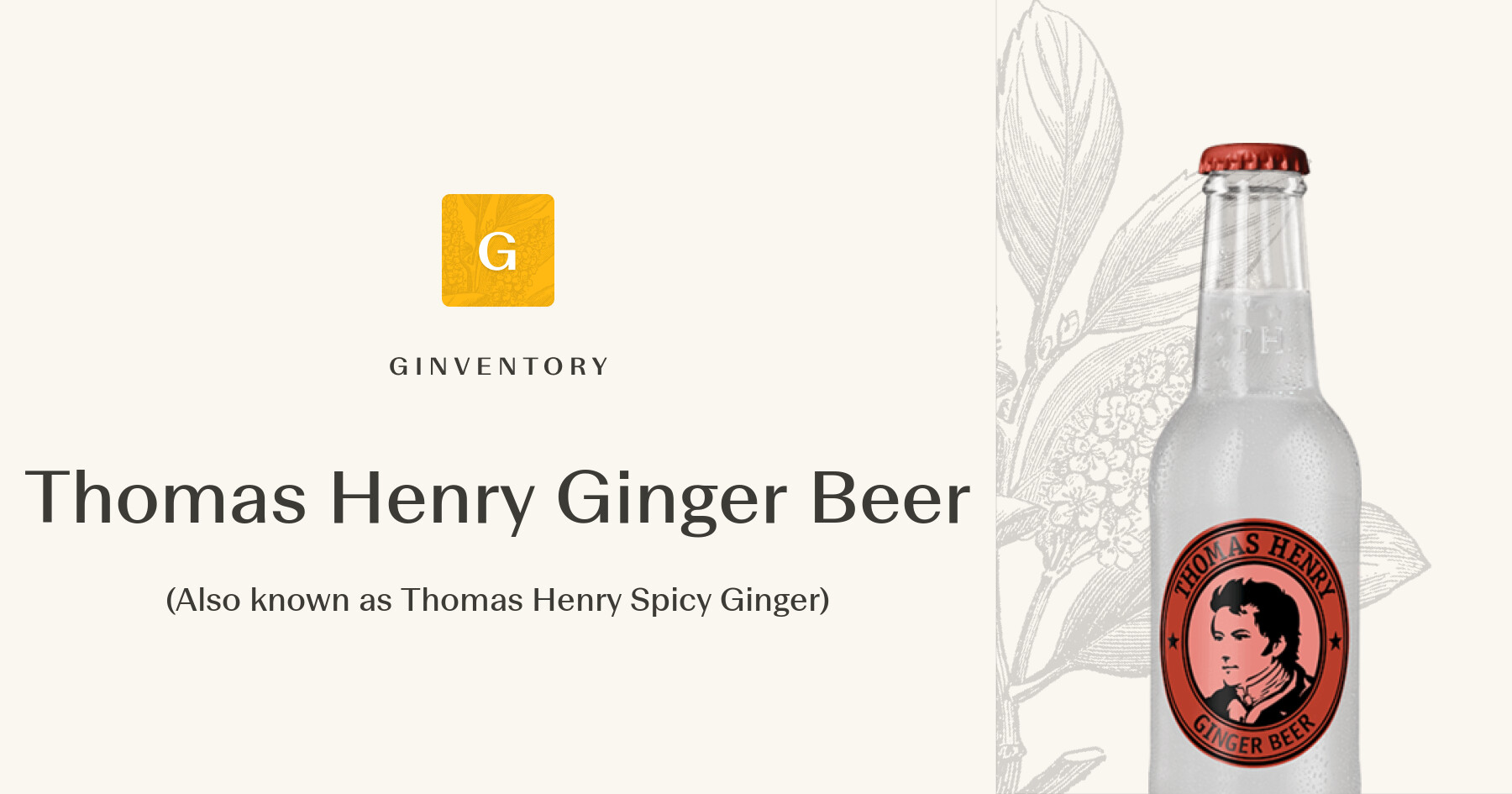 Thomas Henry Ginger Beer - (Also known as Thomas Henry Spicy Ginger ...
