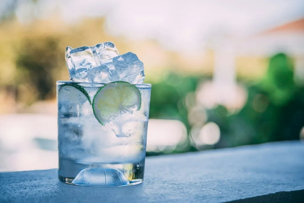 How to Make the Perfect Gin & Tonic (According to Science and Experts ...